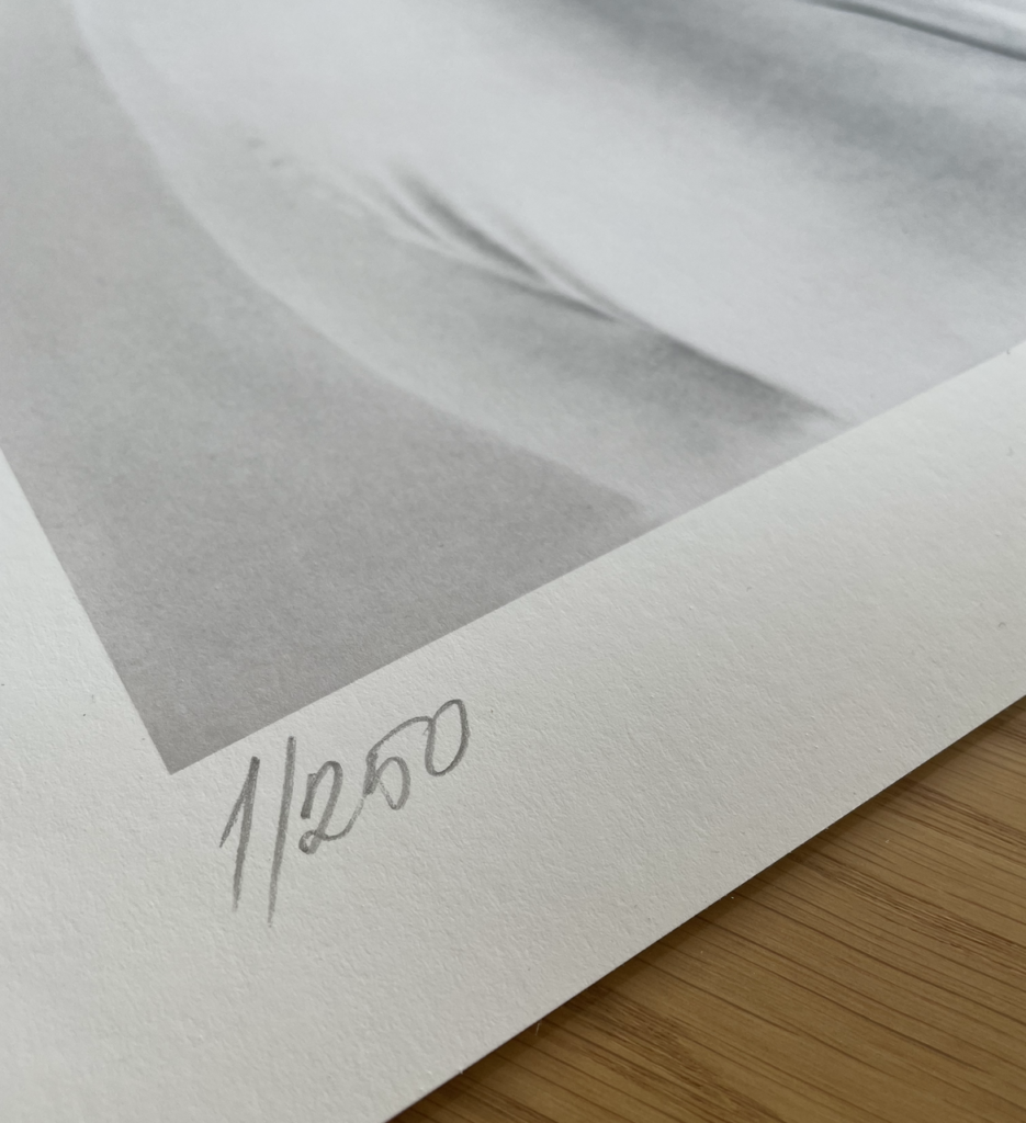 Wishful Large Silvie Mahdal The Art Of Pencil 4816